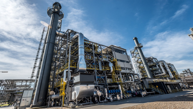 SHA.ART | Corporate Health Promotion